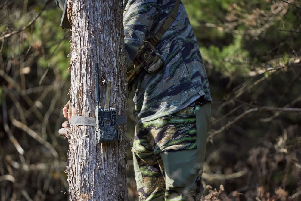 Best Trail Cams For Hunting in 2025 | HuntWise