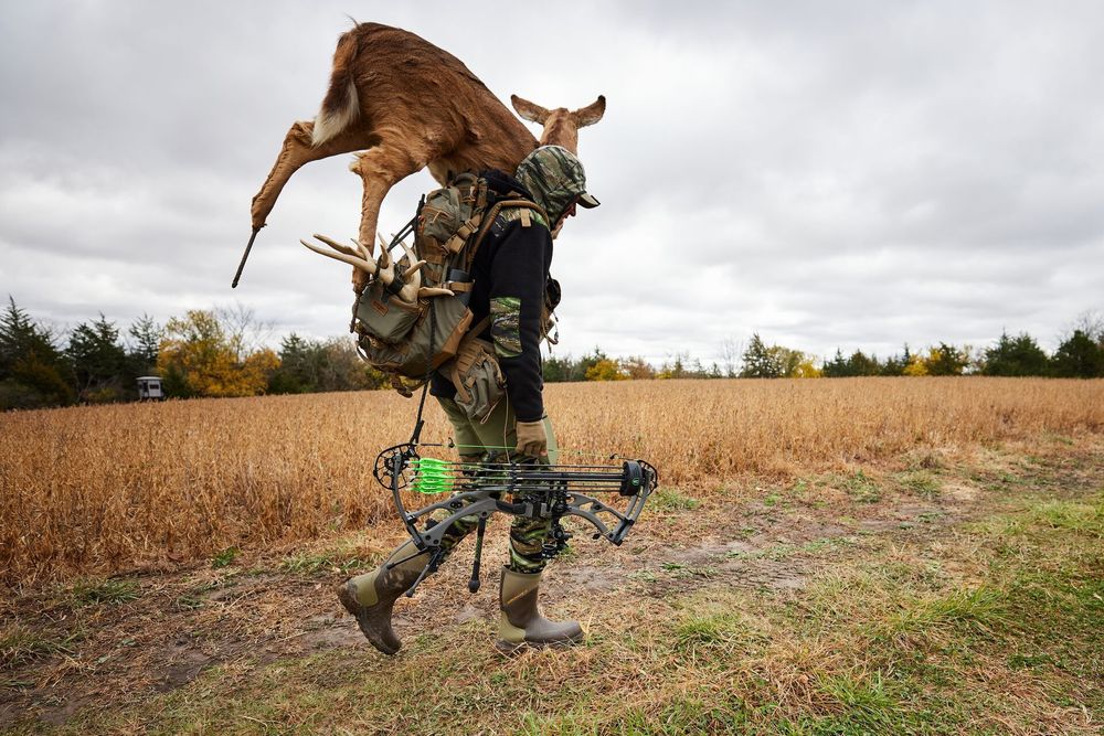 What is Decoy Hunting? A Guide to Decoys | HuntWise