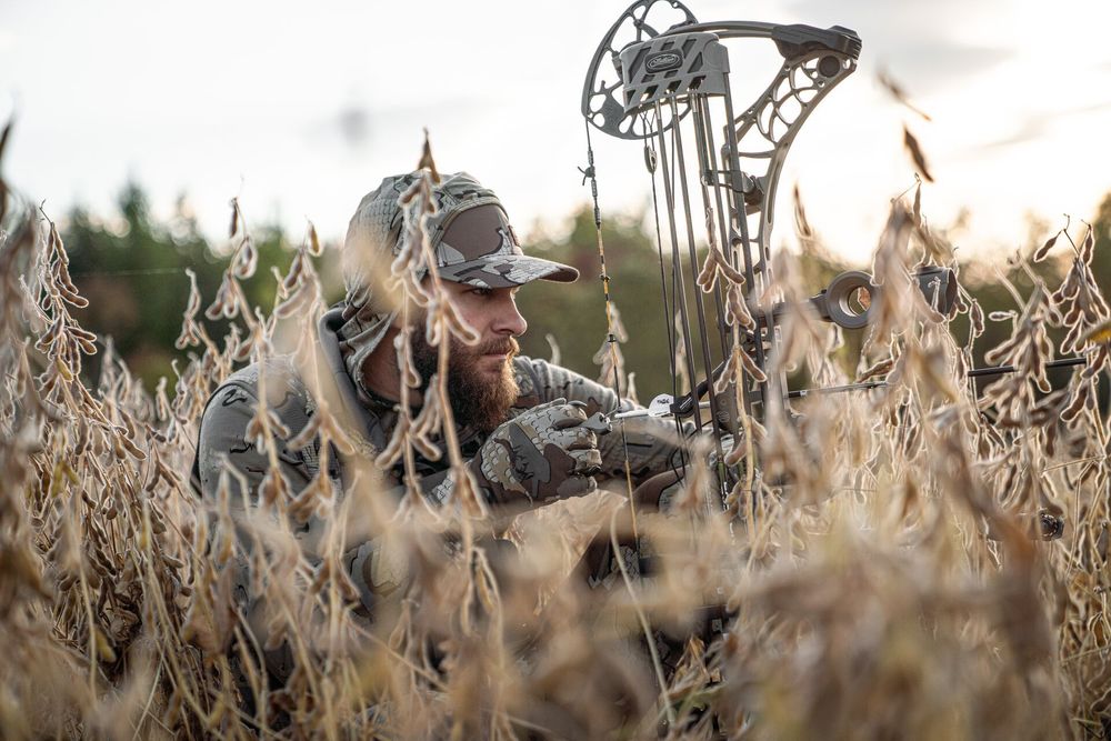 What Are Black Tail Deer? Tips for Hunting Them | HuntWise