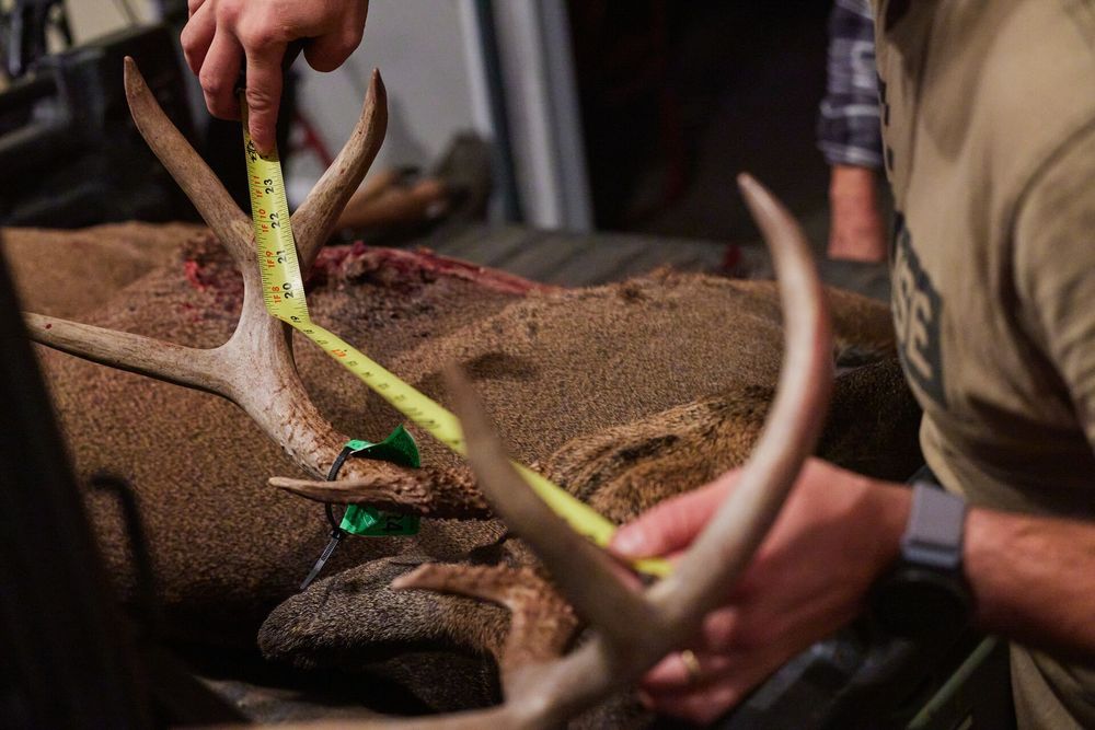 Deer Hunting: A Day in the Field | HuntWise
