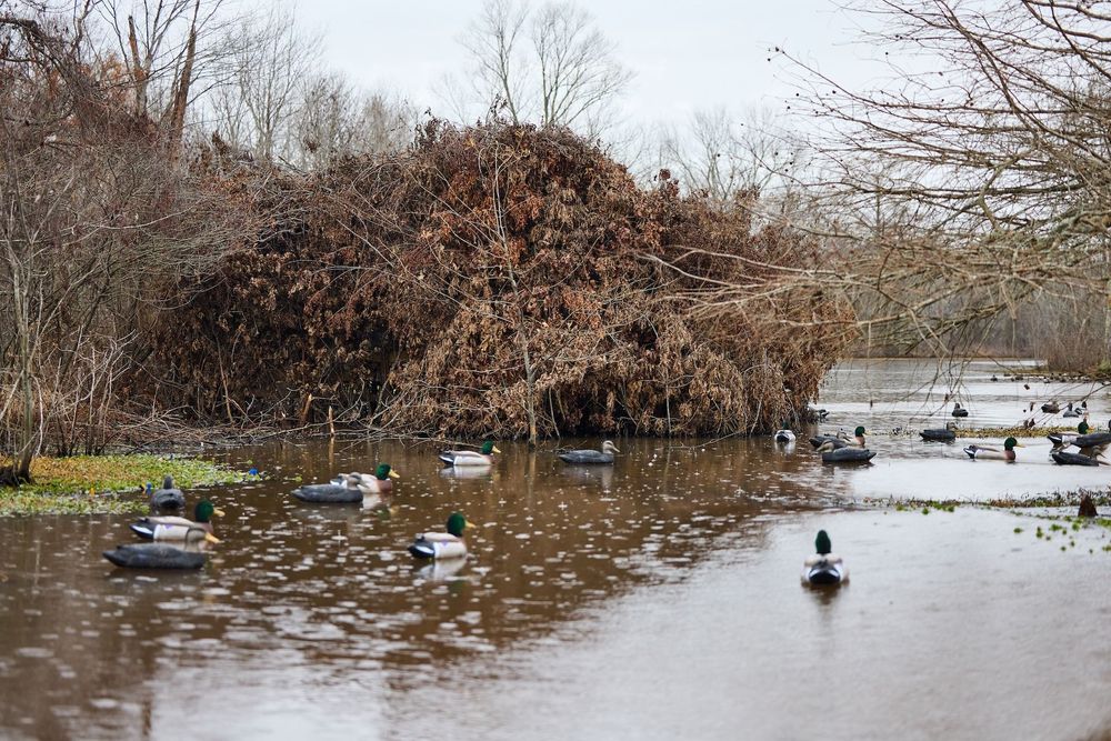 Best Duck Hunting Equipment for Your Bird Hunts | HuntWise