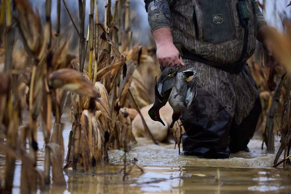 A Guide to Hunting in Connecticut This Season | HuntWise
