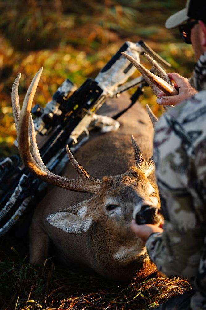 Guide to the Rhode Island Hunting Season 2025 | HuntWise