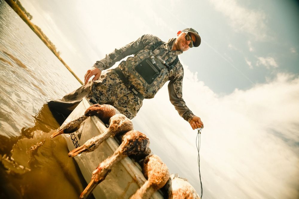 Dark Goose vs Light Goose Hunting | HuntWise