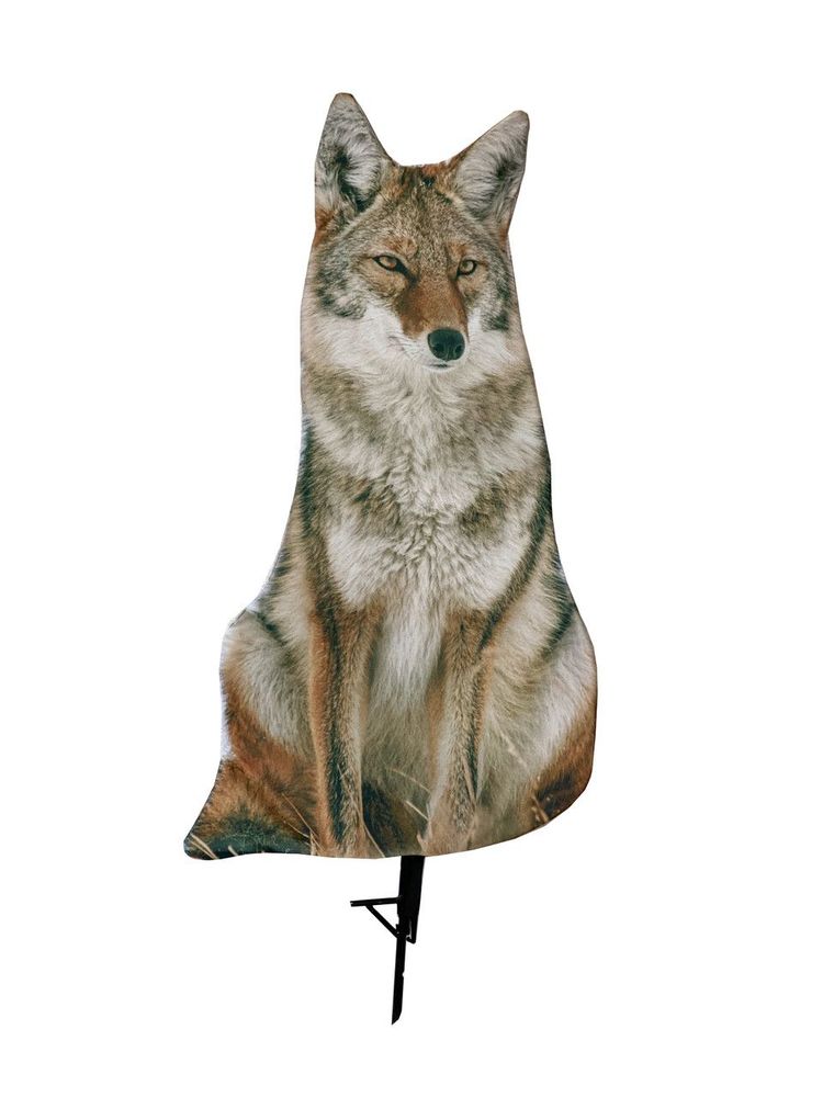 Best Coyote Decoys for 2024 and How to Use Them | HuntWise