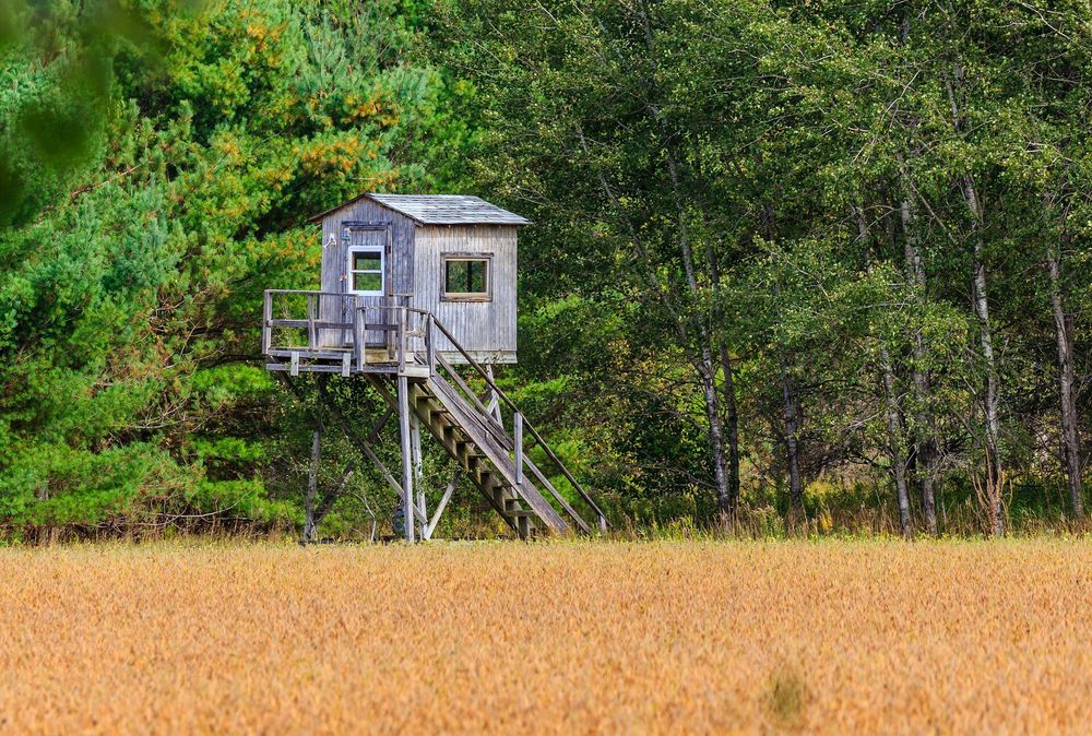 When Is the Mississippi Deer Season? | HuntWise