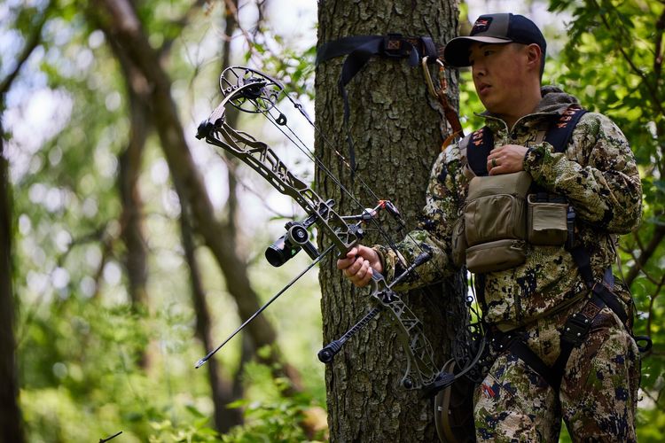 Compound vs Recurve Bow: What's the Difference? | HuntWise