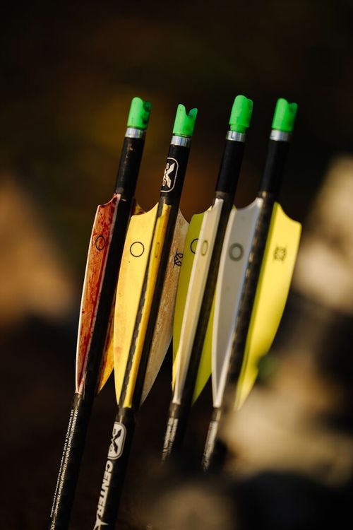 Hog Hunting Gear: Must-Have Items for Success | HuntWise