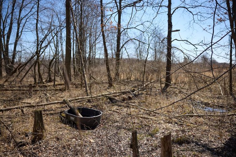 When and How to Make a Water Hole for Deer | HuntWise