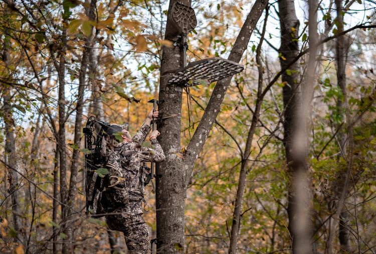 The Guide To Deer Hunting Season NY 2025 | HuntWise