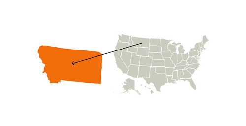 Guide to the Montana Hunting Seasons 2025 | HuntWise