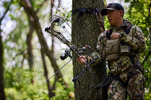 Compound vs Recurve Bow: What's the Difference? | HuntWise