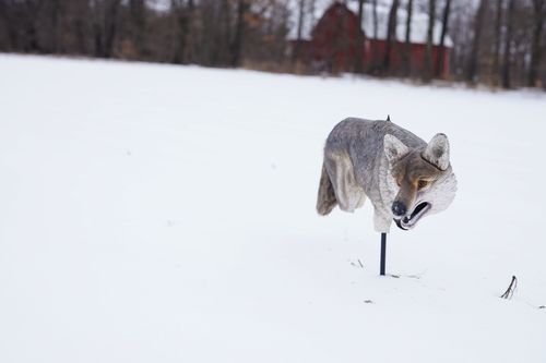 What is Decoy Hunting? A Guide to Decoys | HuntWise