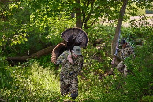 Guide to South Carolina Hunting Seasons 2025 | HuntWise