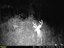 How to Set Up a Trail Camera for Fall Hunts | HuntWise